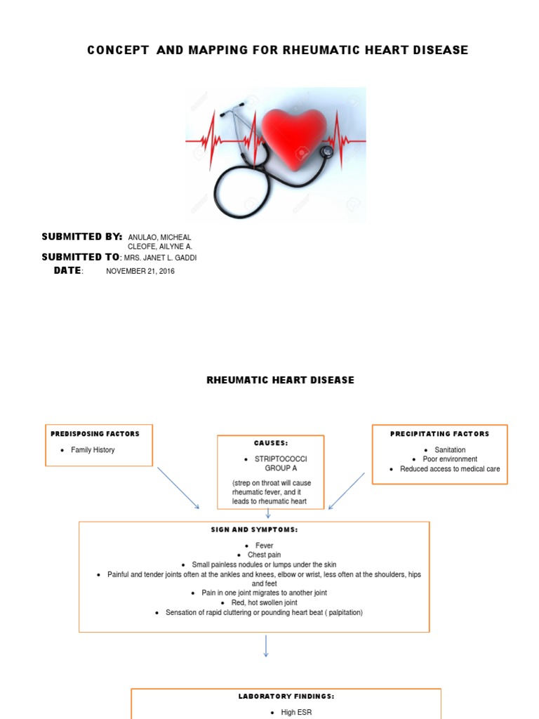 Concept and Mapping for Rheumatic Heart Disease | Heart ...
