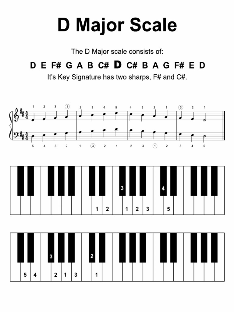 D Scale Handout PDF | PDF