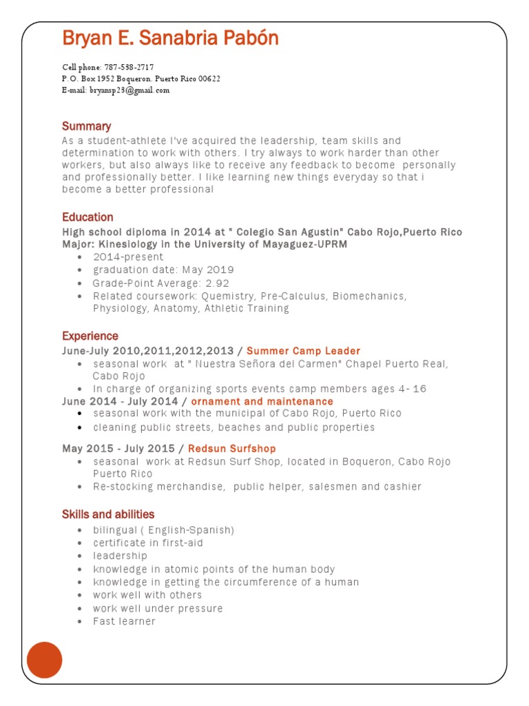 Resume de Bryan | PDF