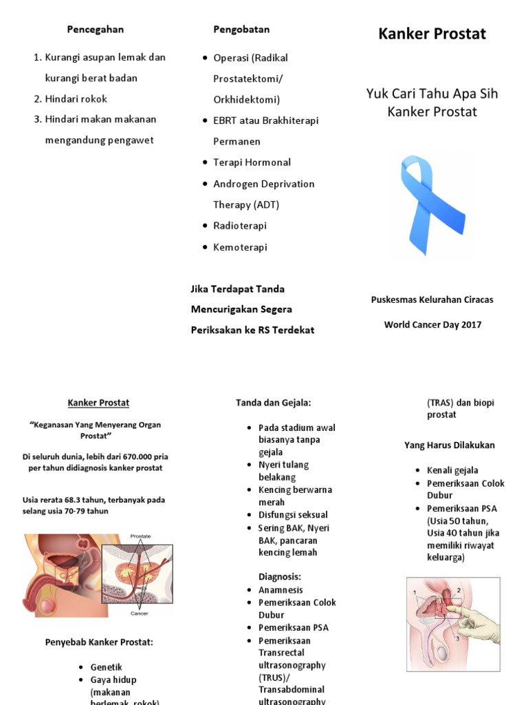 Leaflet CA Prostat | PDF