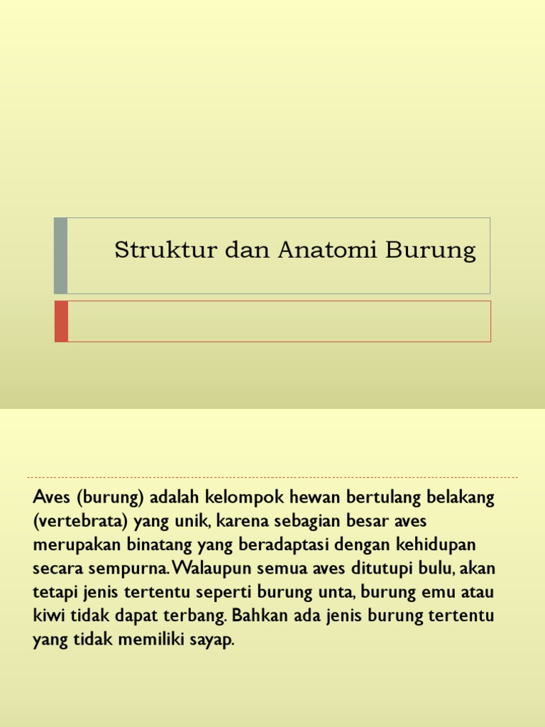 Struktur Dan Anatomi Burung | PDF