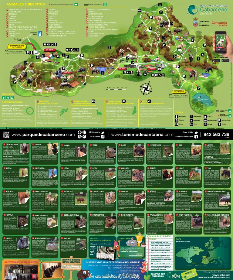 Plano Cabarceno | PDF | León | Tigre