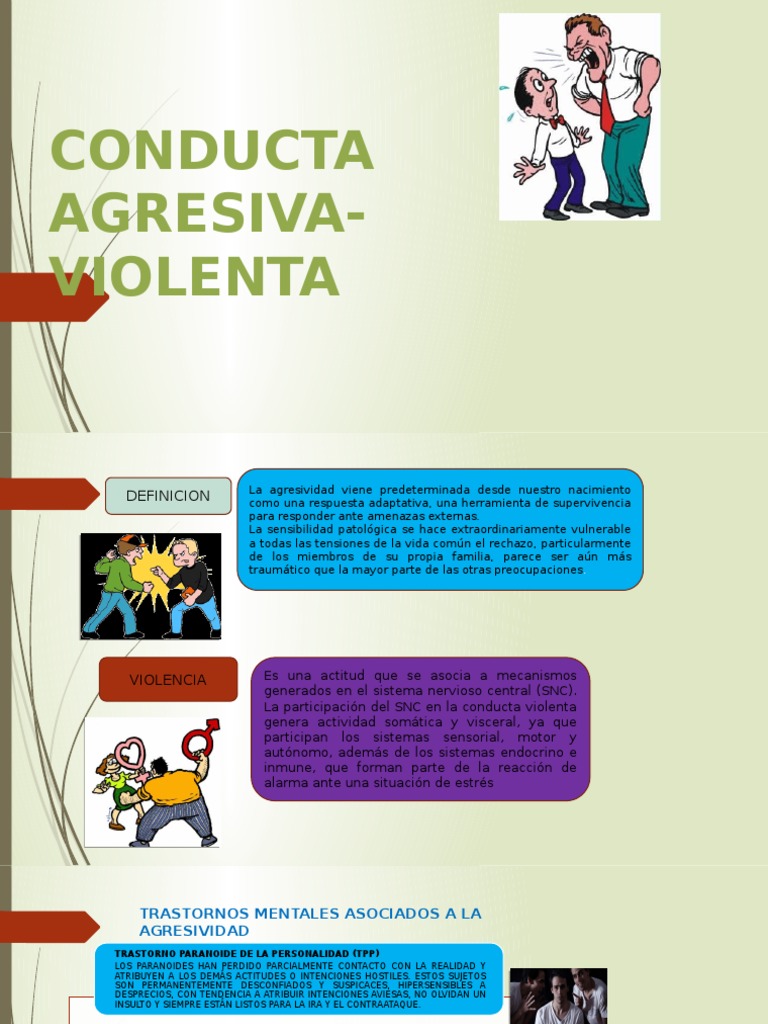 Conducta Agresiva Violenta | PDF | Esquizofrenia | Antipsicótico