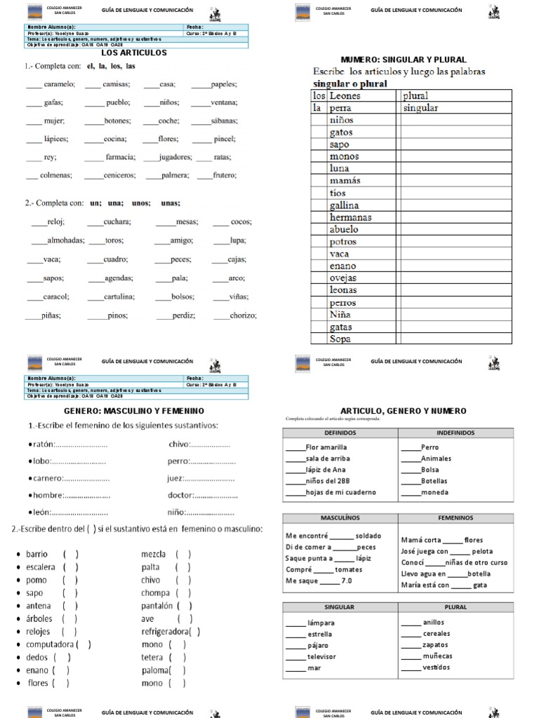 Adjetivos: Género y Número en Ejercicios | PDF | Sustantivo | Adjetivo