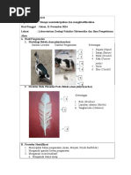 Anatomi Tikus | PDF | Ilmu Sosial | Kajian Bahasa Asing