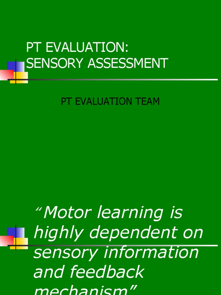 Sensory Assessment Edited | PDF | Perception | Somatosensory System