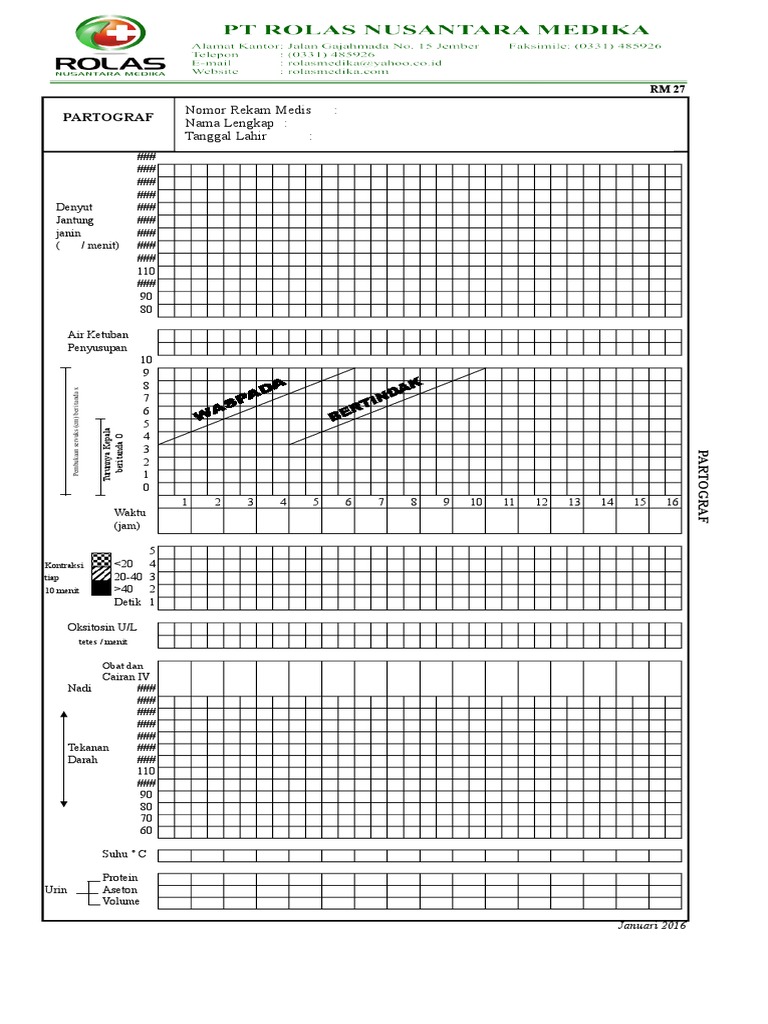 RM 27. Form Partograf | PDF