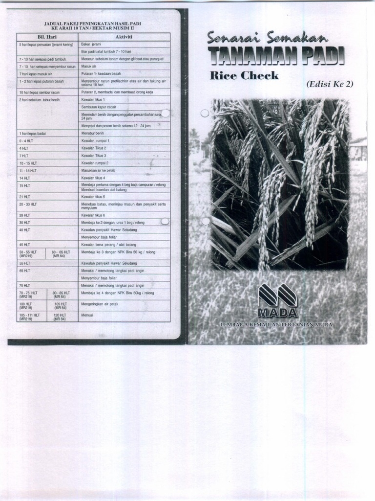 Rice Check | PDF