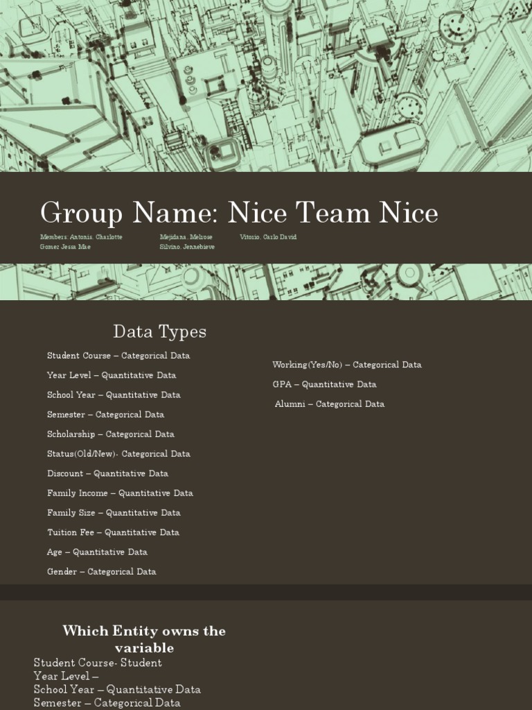 Group Name: Nice Team Nice | PDF