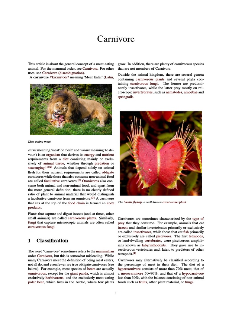 Carnivore | PDF | Eating Behaviors | Zoology