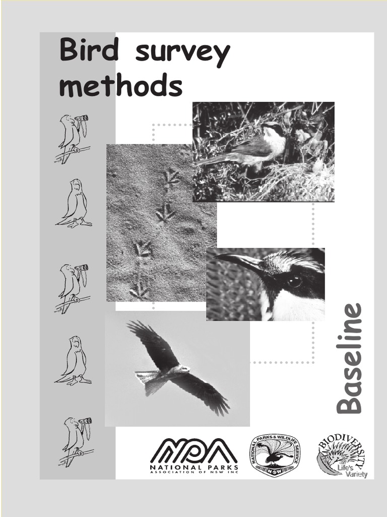 09 Bird Surveys Baseline | Birds | Sky | Free 30-day Trial | Scribd
