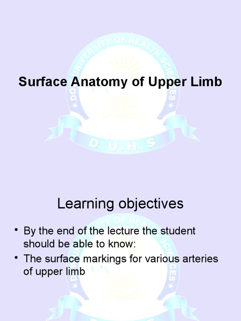 Upper Limb Surface Anatomy Overview | PDF | Arm | Elbow
