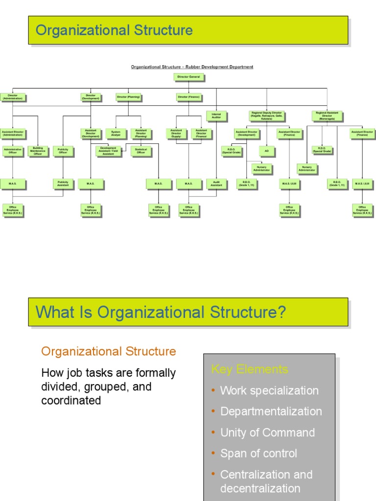 Organizational Structure | PDF | Organizational Structure | Strategic ...