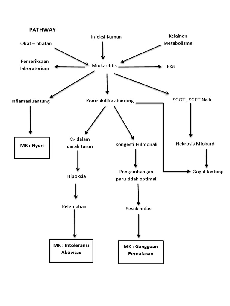 Pathway Miokarditis dan Gagal Jantung | PDF