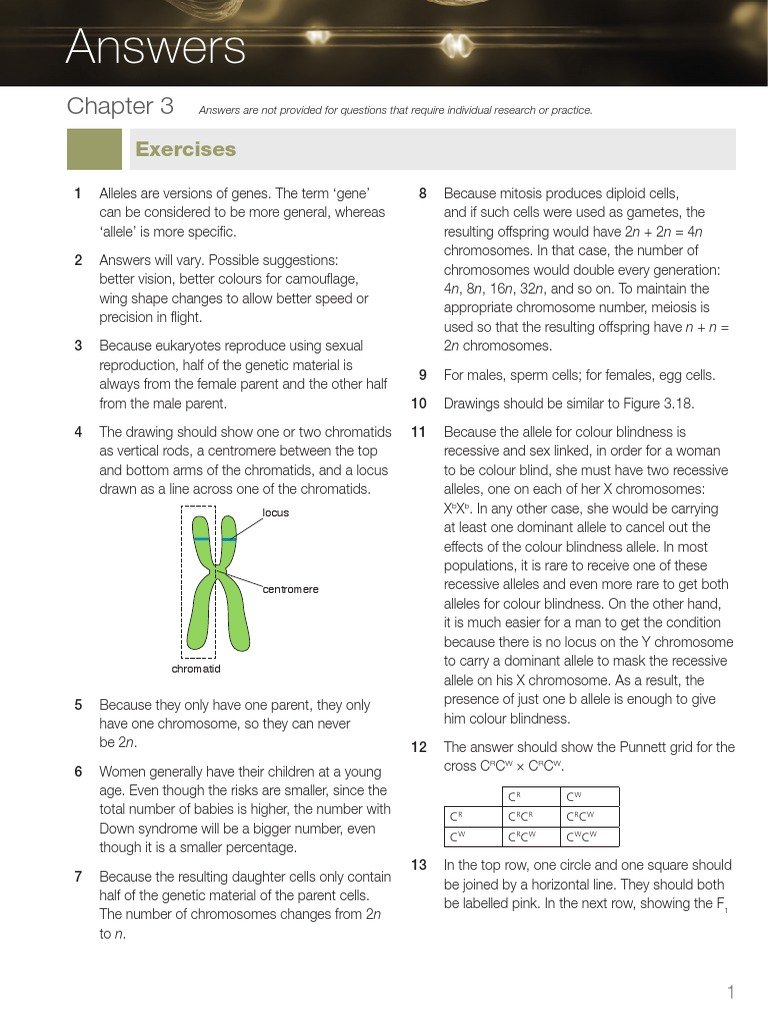 Genetics and Alleles Overview | PDF | Allele | Dominance (Genetics)