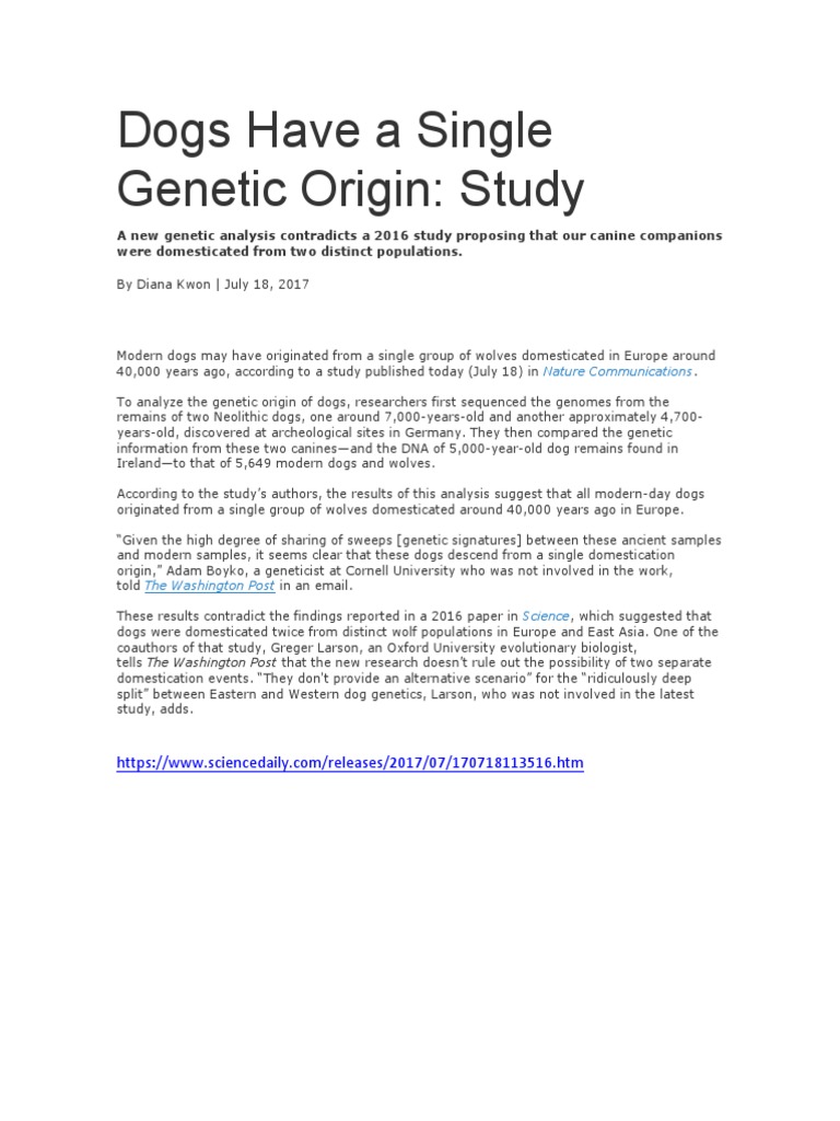 How To Write A Summary | PDF