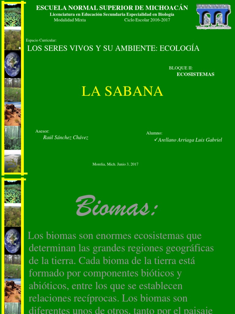 Biomas Terrestres Sabana | PDF | Ecosistema | Zona tropical