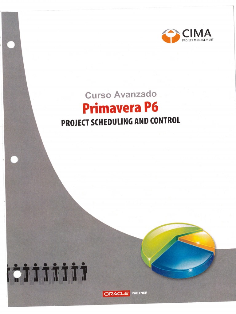 Primavera P6 Avanzado