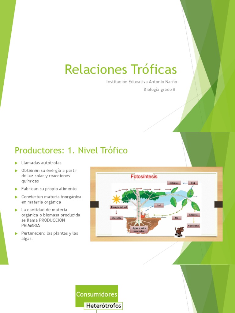 Relaciones Tróficas | Red alimentaria | Ciencias de la tierra y de la vida
