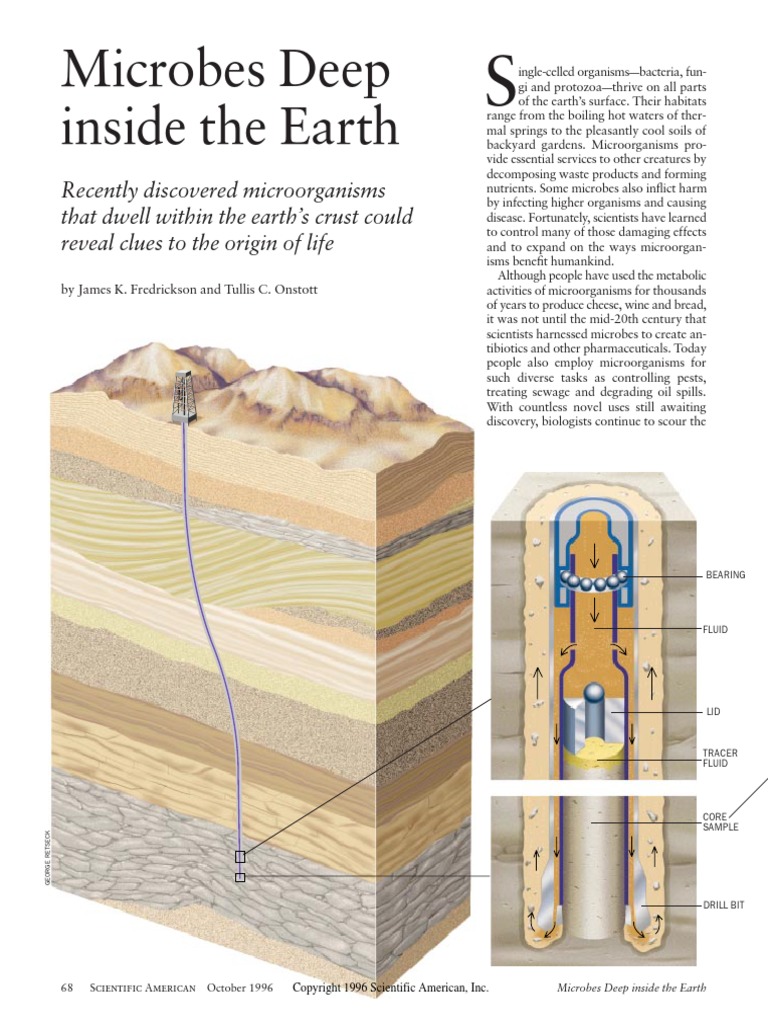 May 4 - Deep Subsurface | PDF | Microorganism | Rock (Geology)