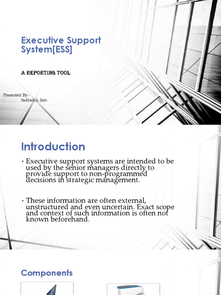 Executive Support System (ESS) : A Reporting Tool | PDF | Debt | Investing
