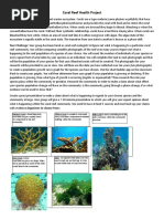 Coral Bleaching Worksheet | PDF | Coral | Coral Reef