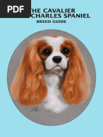 Montreal Cognitive Assessment (Moca ®) : Version 8.3 English | PDF ...