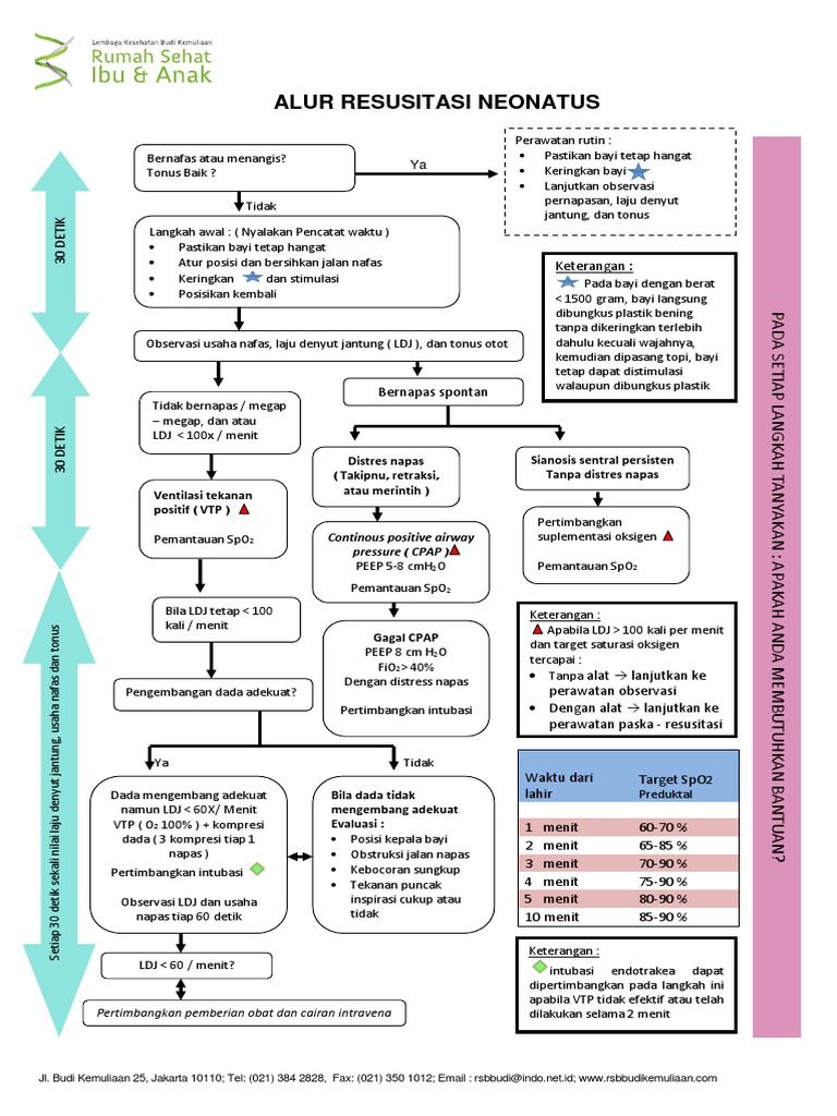 Alur Resusitasi Neonatus