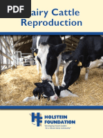 Female Cattle Reproductive Anatomy | PDF | Menstrual Cycle ...