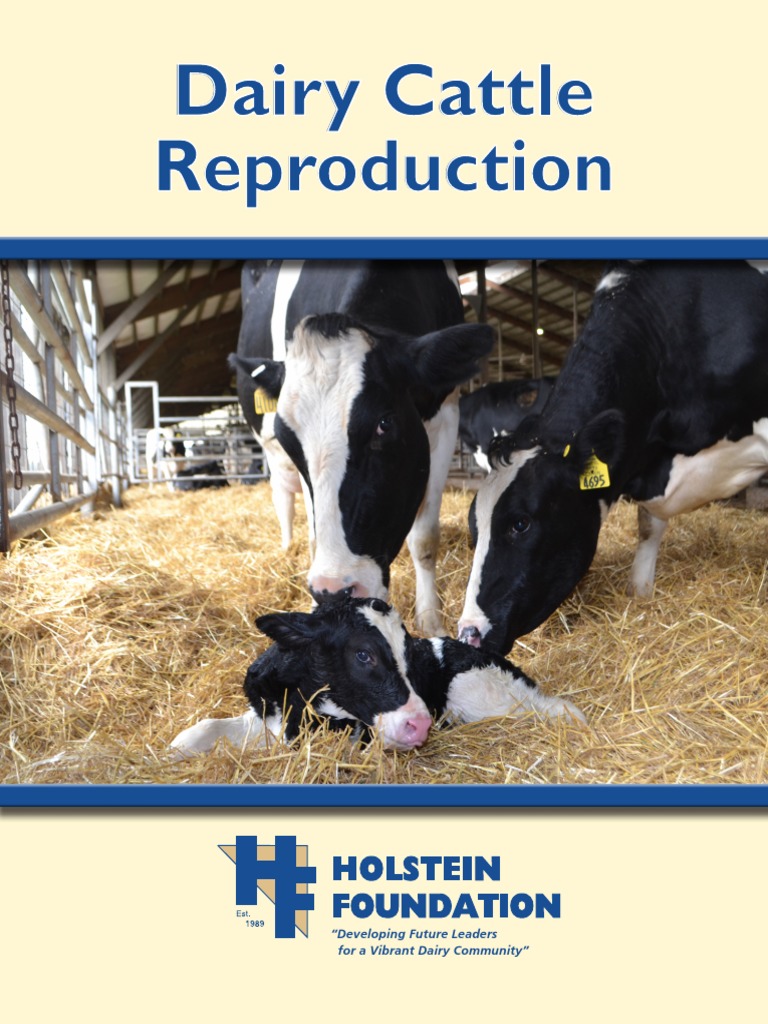 Dairy Cattle Reproduction | PDF | Luteinizing Hormone | Dairy Cattle