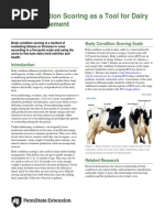 Purina Body Condition Score Diagram | PDF | Abdomen | Pelvis