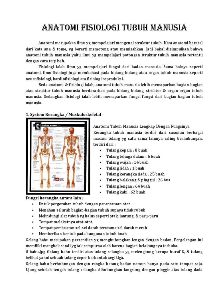 Anatomi Fisiologi Tubuh Manusia Dan ARTERI JANTUNG | PDF