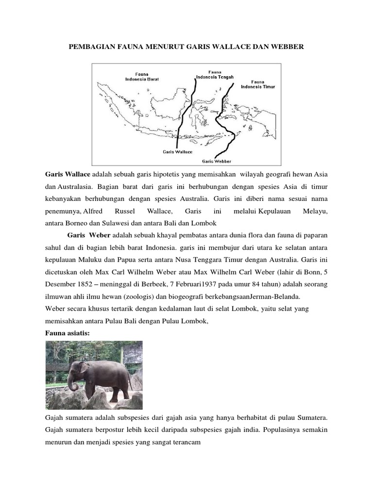 Pembagian Fauna Menurut Garis Wallace Dan Webber | PDF