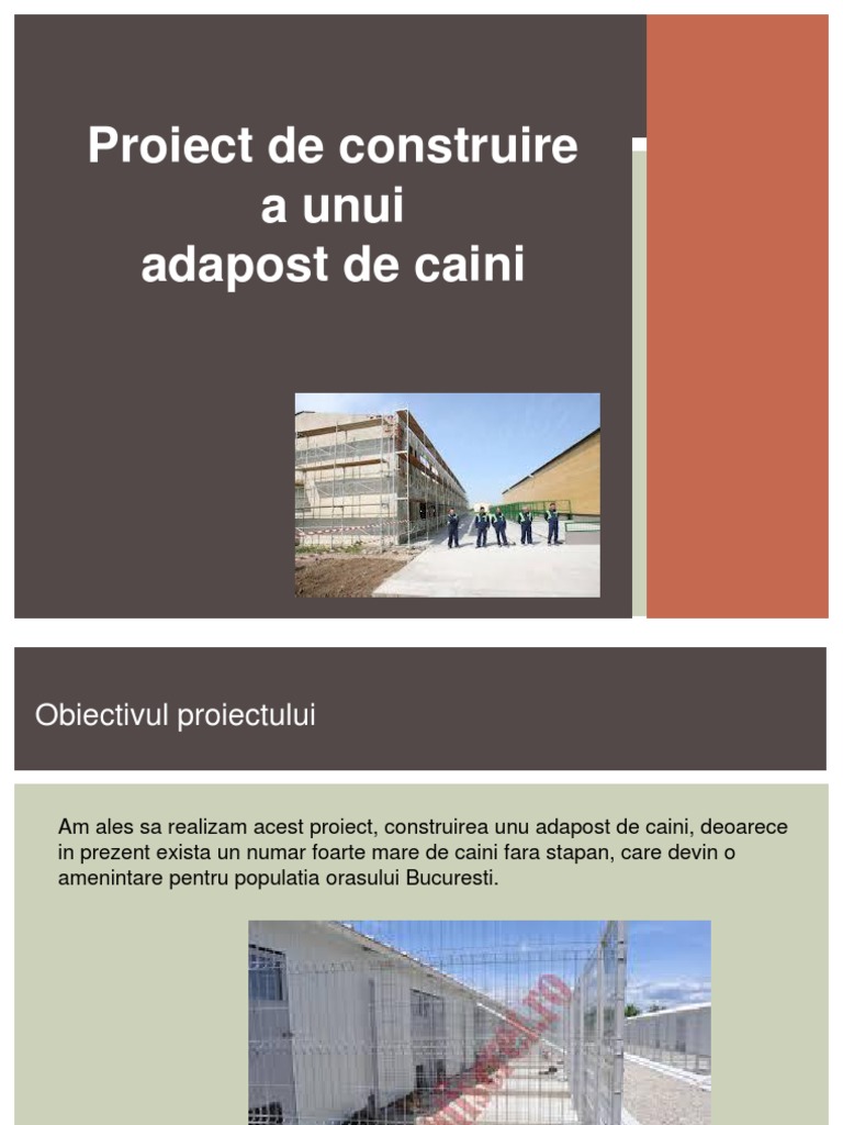 Proiect Adapost Pentru Caini PDF | PDF