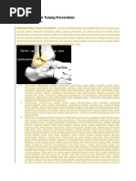 Tabel Origo dan Insersio Otot Manusia | PDF
