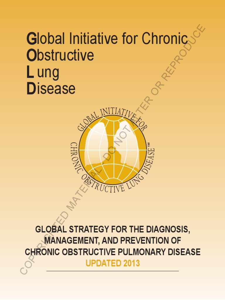 Copd Gold 2013 | Chronic Obstructive Pulmonary Disease | Health Care