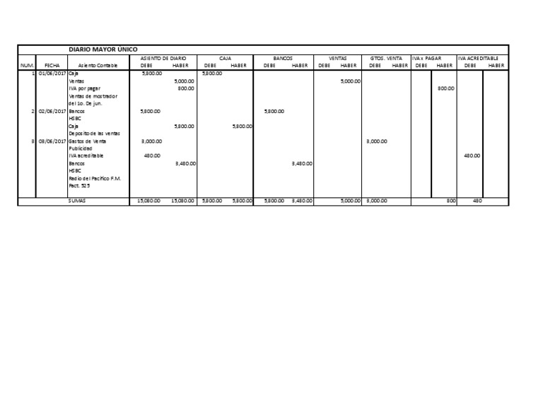 Diario Mayor Unico.pdf