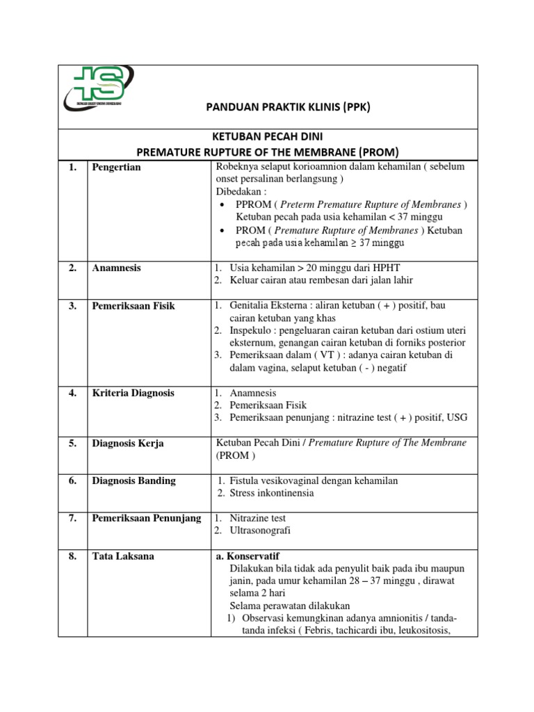 PPK Obgyn (Contoh) | PDF