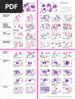 Interpreting Idexx Procyte DX Hematology Analyzer Dot Plots | PDF ...