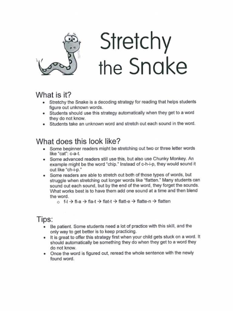 Scan - Snake | PDF