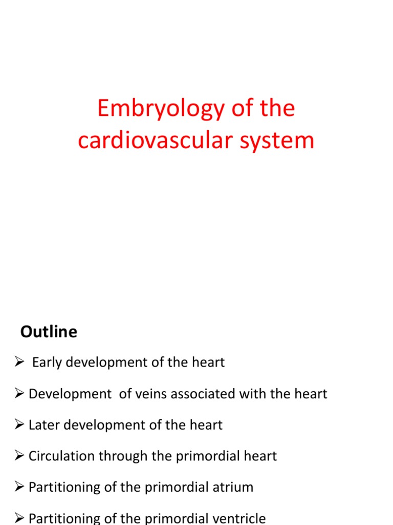 Heart Development in Embryology | PDF | Aorta | Atrium (Heart)