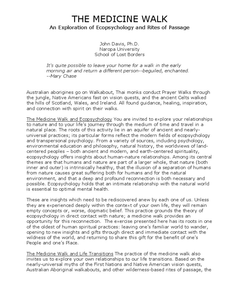 The Medicine Walk by John Davis | PDF | Dream | Taste