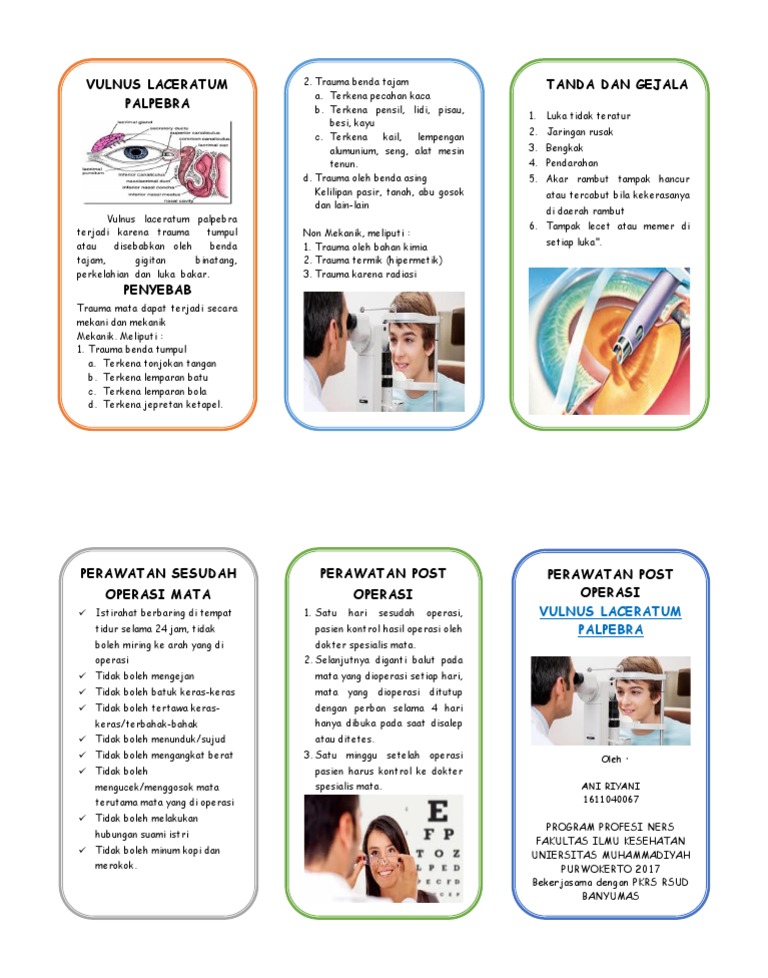 Post-Operative Eye Care | PDF