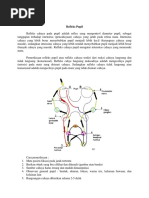 Ukuran Pupil Mata Normal dan Kelainan | PDF