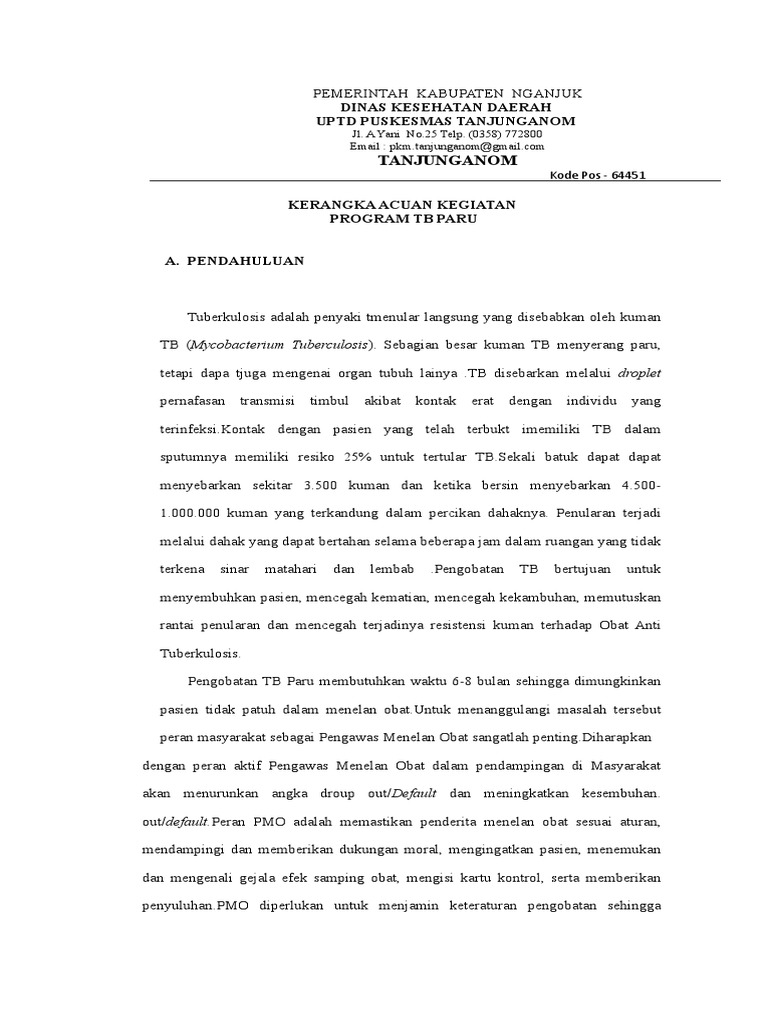 KAK Program TB | PDF | Kesehatan Holistik