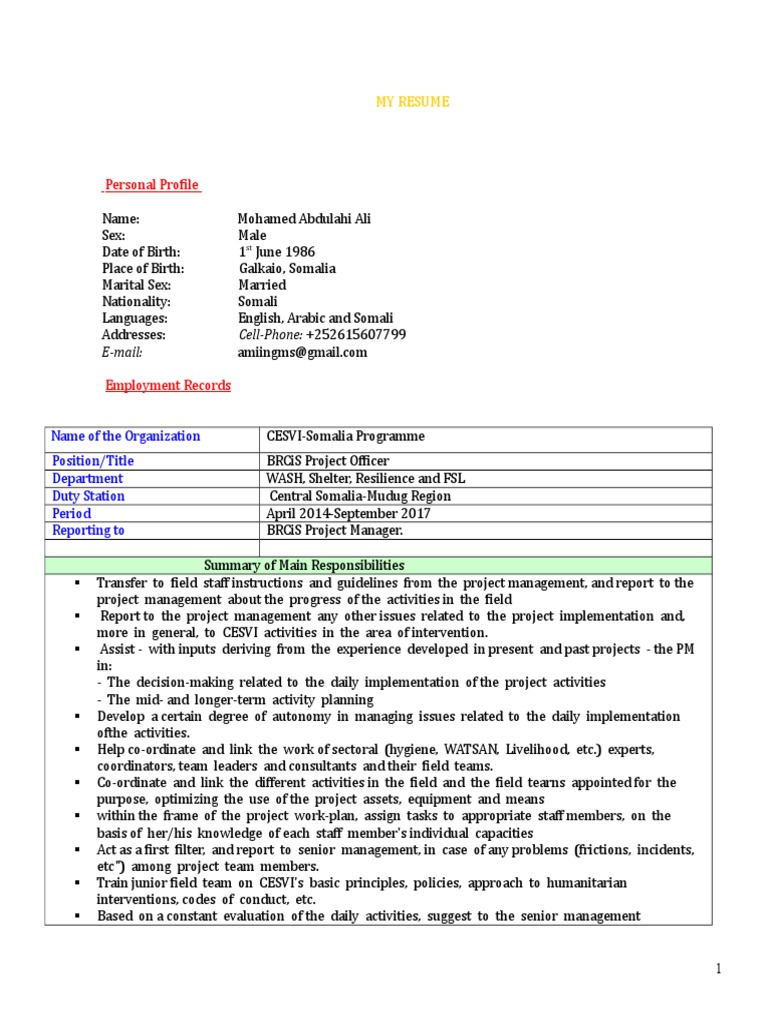 My Cv-Mohamed Abdulahi Ali | PDF | Somalia | Invoice