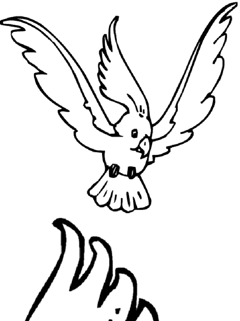 PAPAGAL CACADU Planse de Colorat | PDF