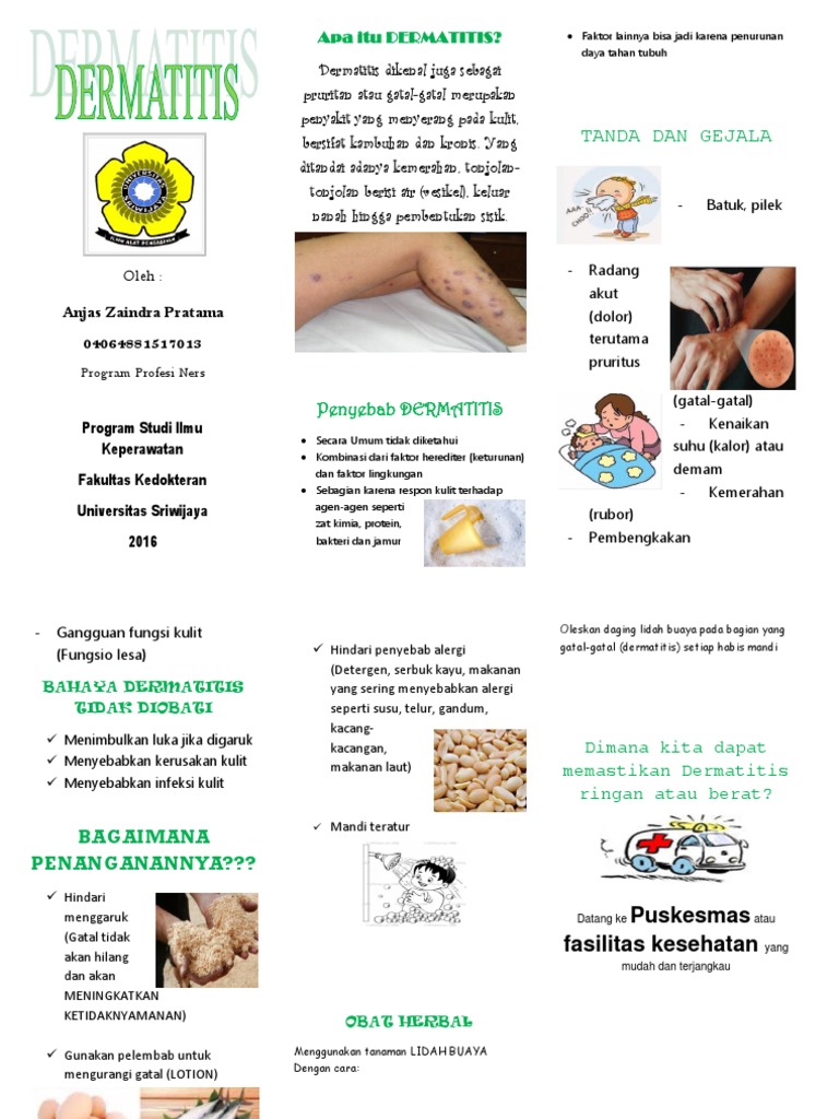Leaflet Dermatitis | PDF