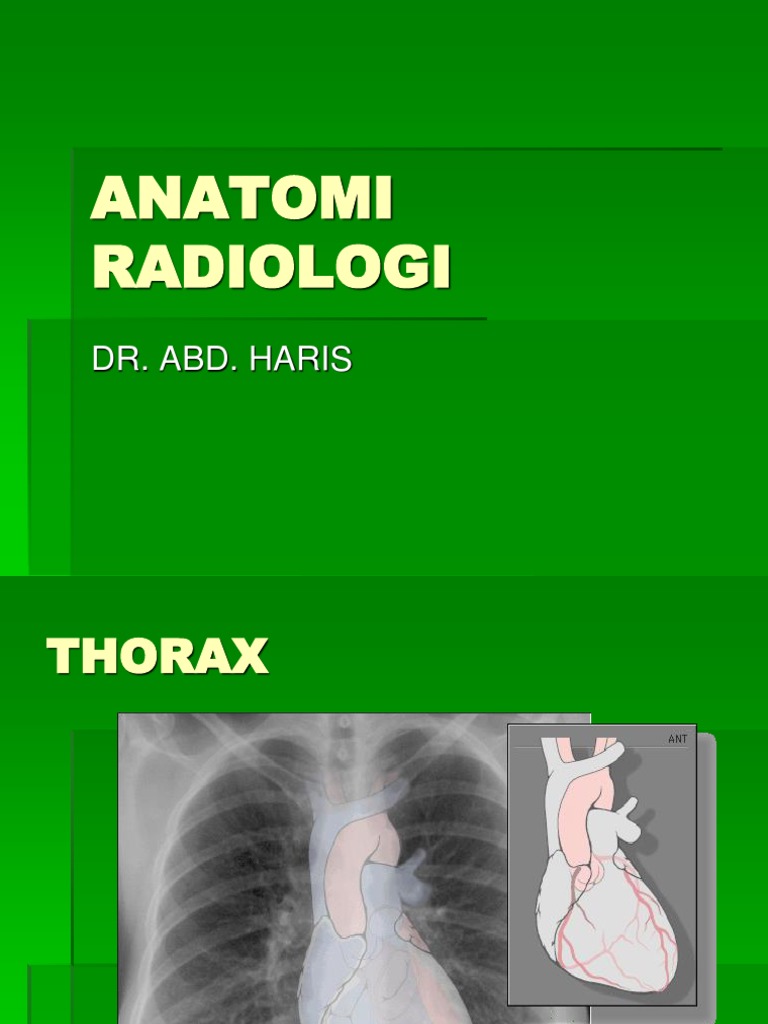Anatomi Radiologi | PDF