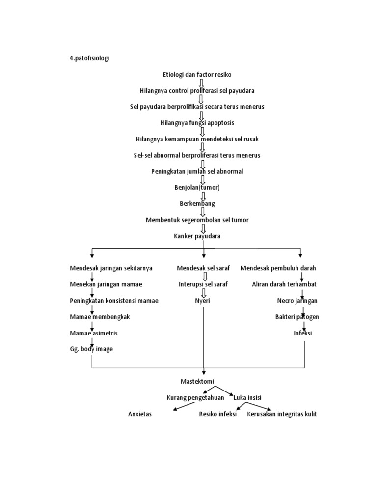 Pathway Ca Mamae | PDF